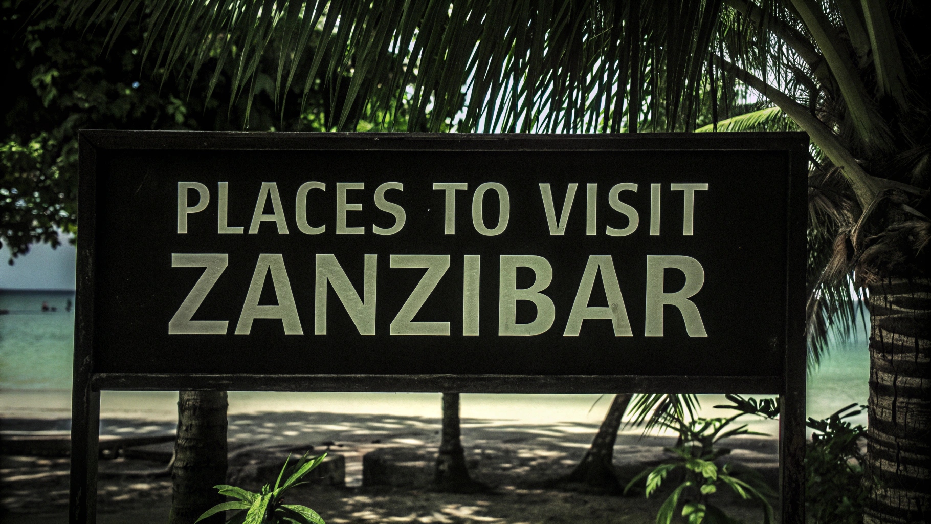 Zanzibar What to Visit – Best Places To Visit in Zanzibar